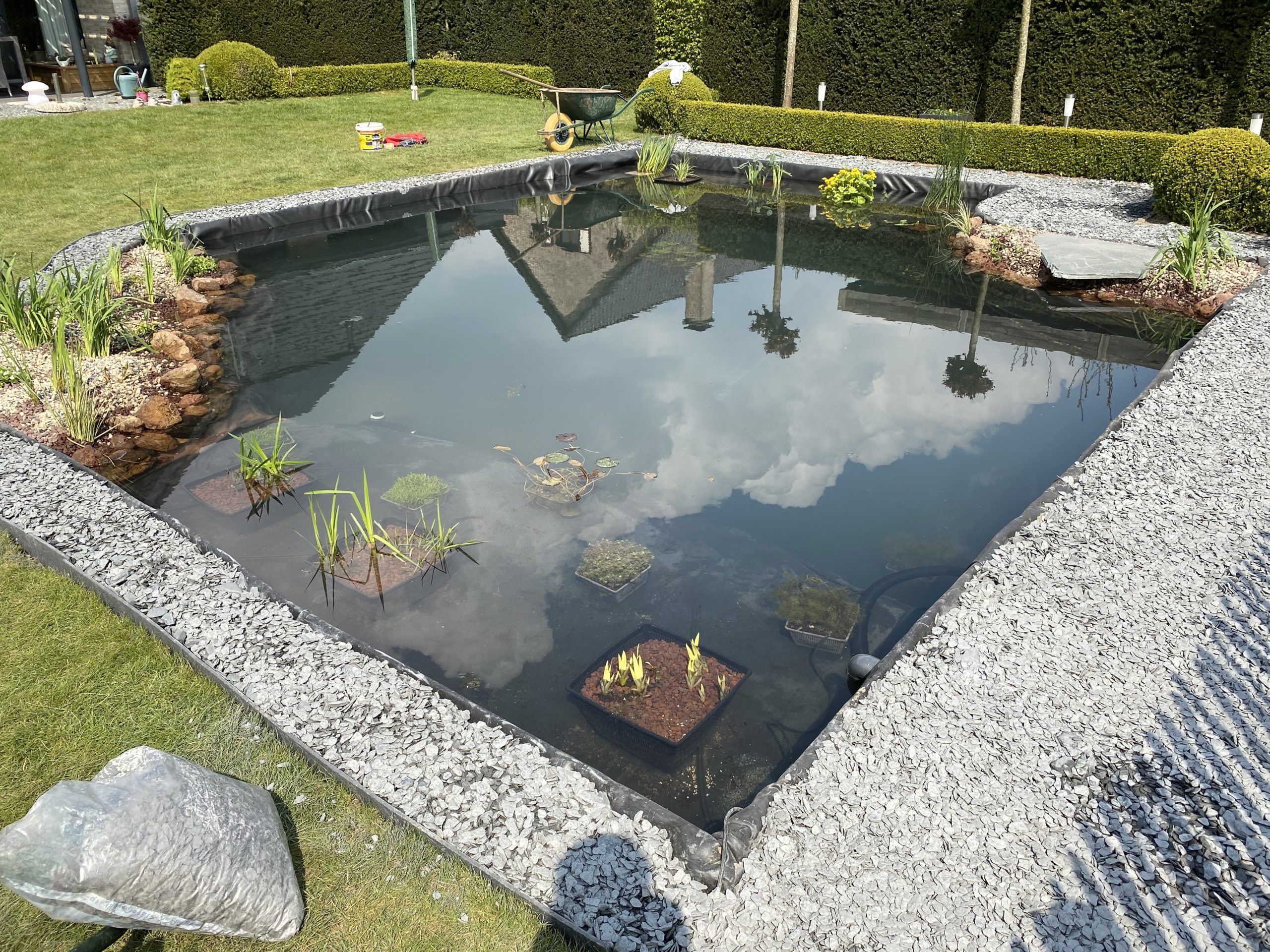 Hoe maak je van je tuin een koi-paradijs?